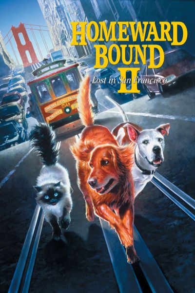 Where was Homeward Bound II: Lost in San Francisco filmed?