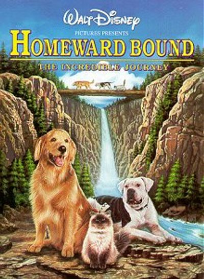 Where was HOMEWARD BOUND: THE INCREDIBLE JOURNEY filmed?