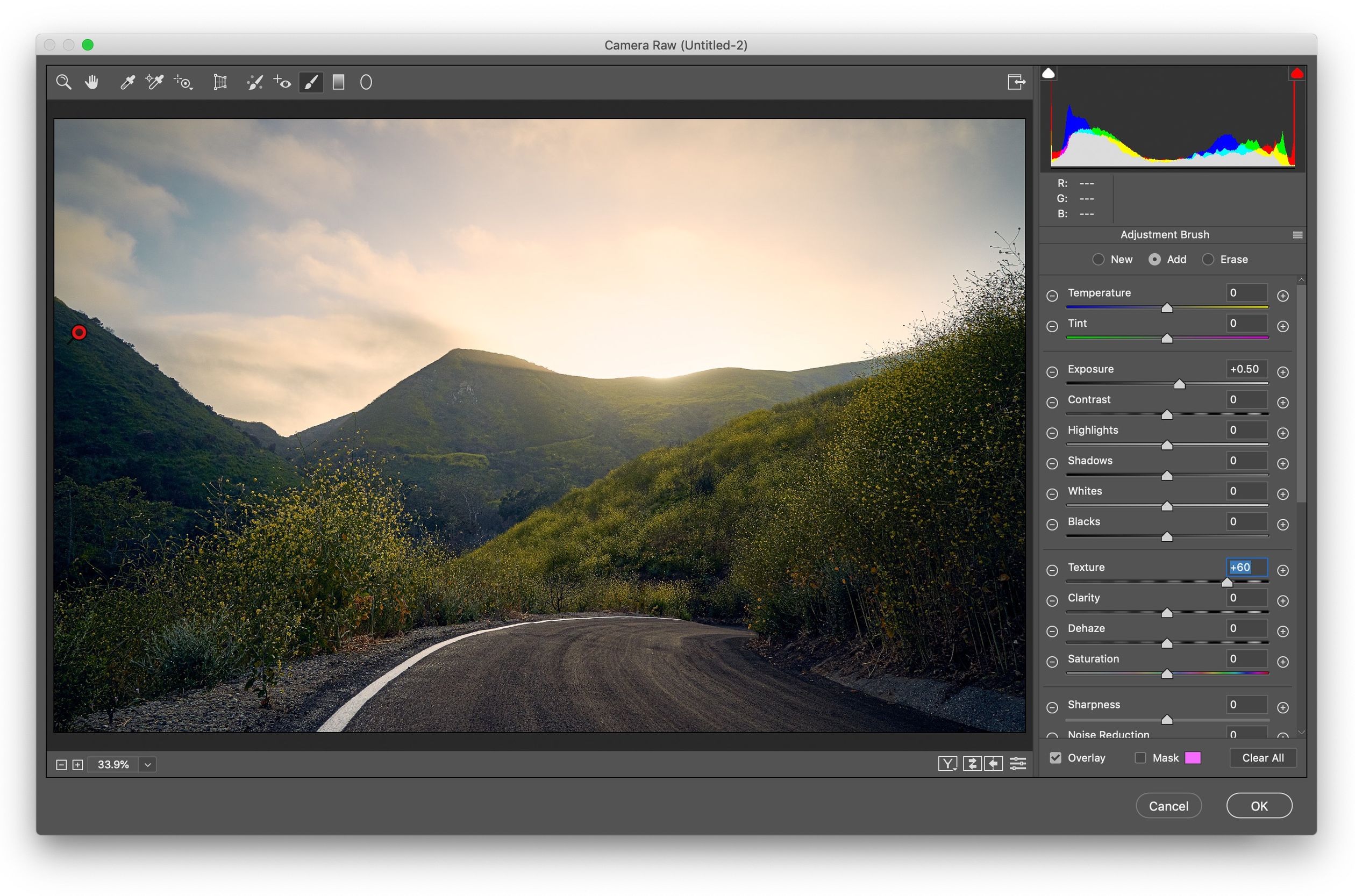 A Look at the Texture Slider in Lightroom and Camera Raw • Giggster Guide