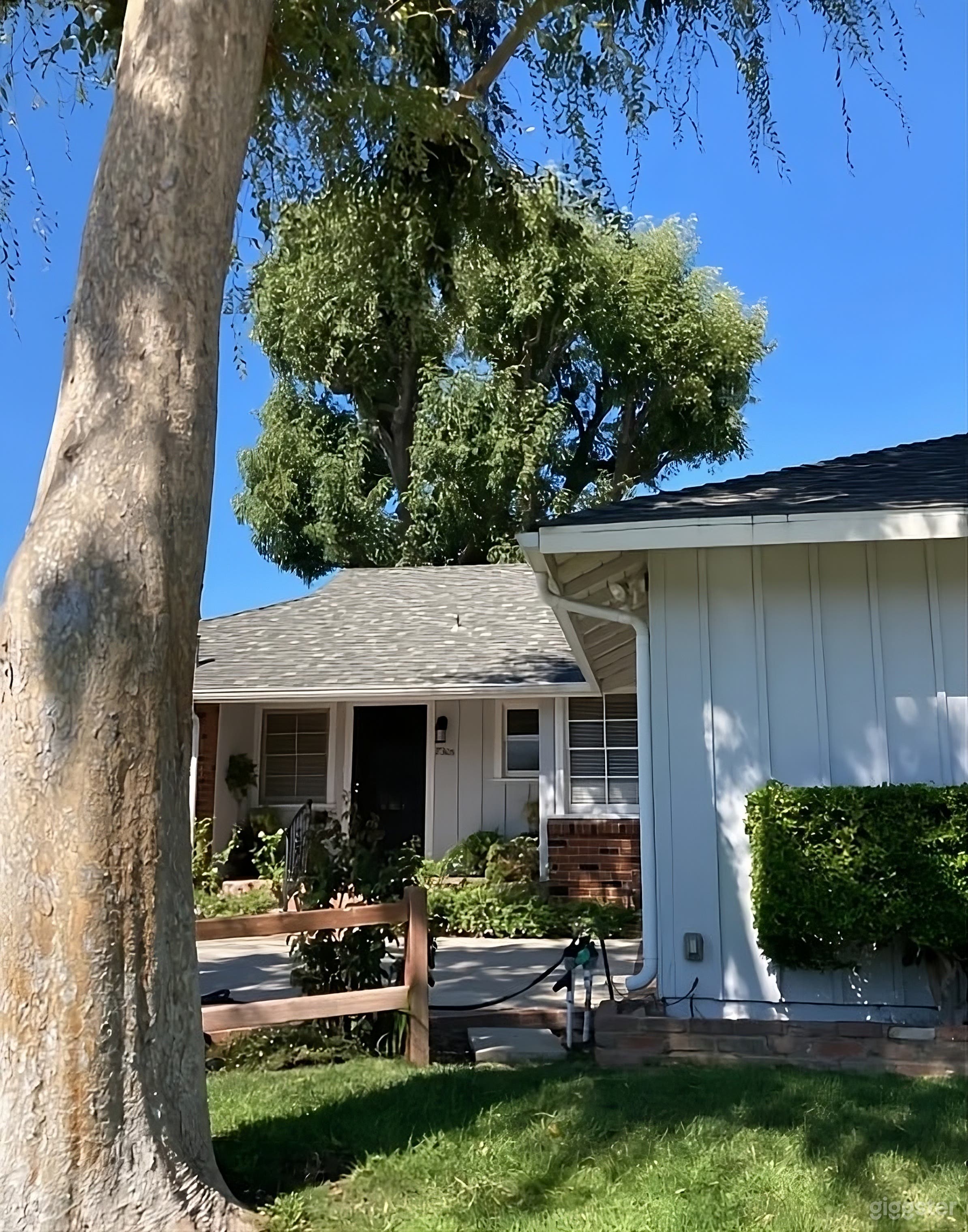 Lush Garden Backyard Oasis | Rent this location on Giggster